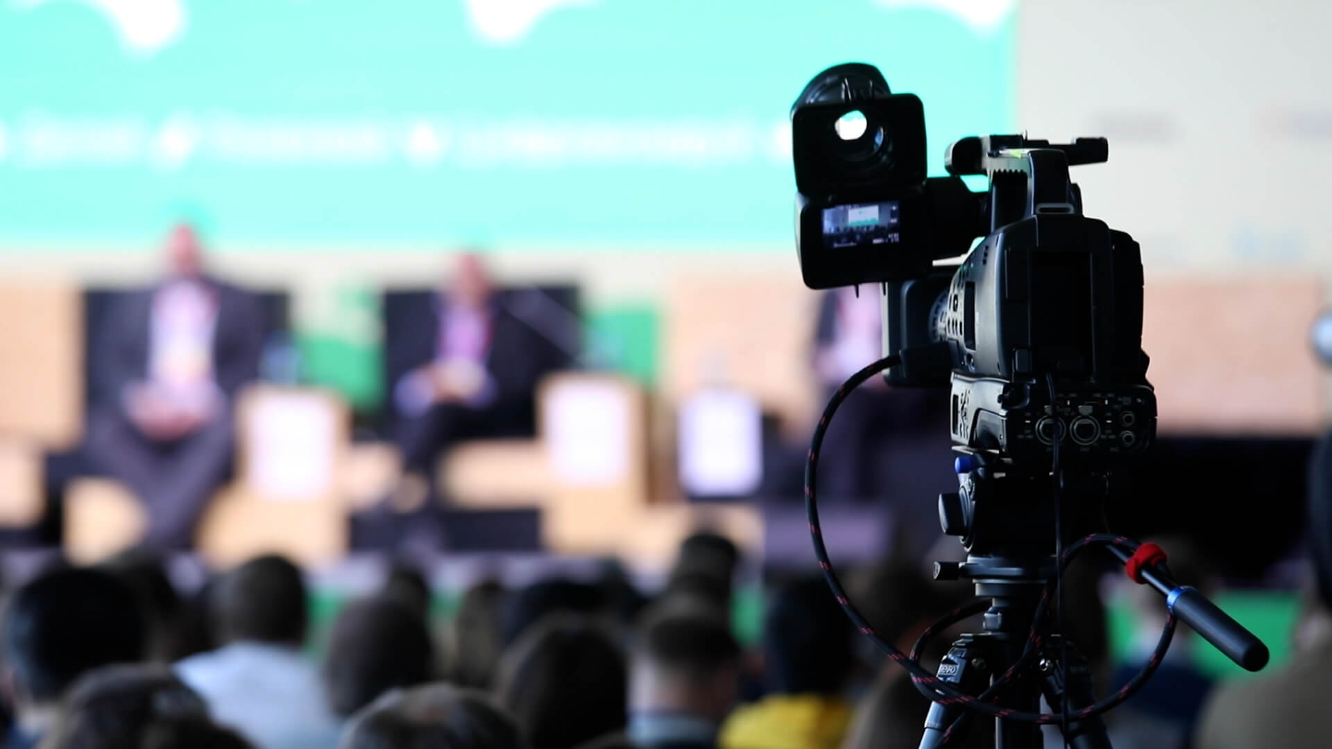 Photo & Video District - APACE Media